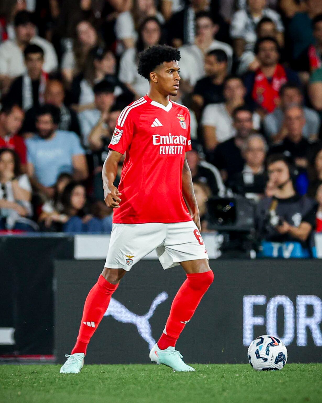 From Louisville to Lisbon: Joshua Wynder’s Journey with S.L. Benfica ...